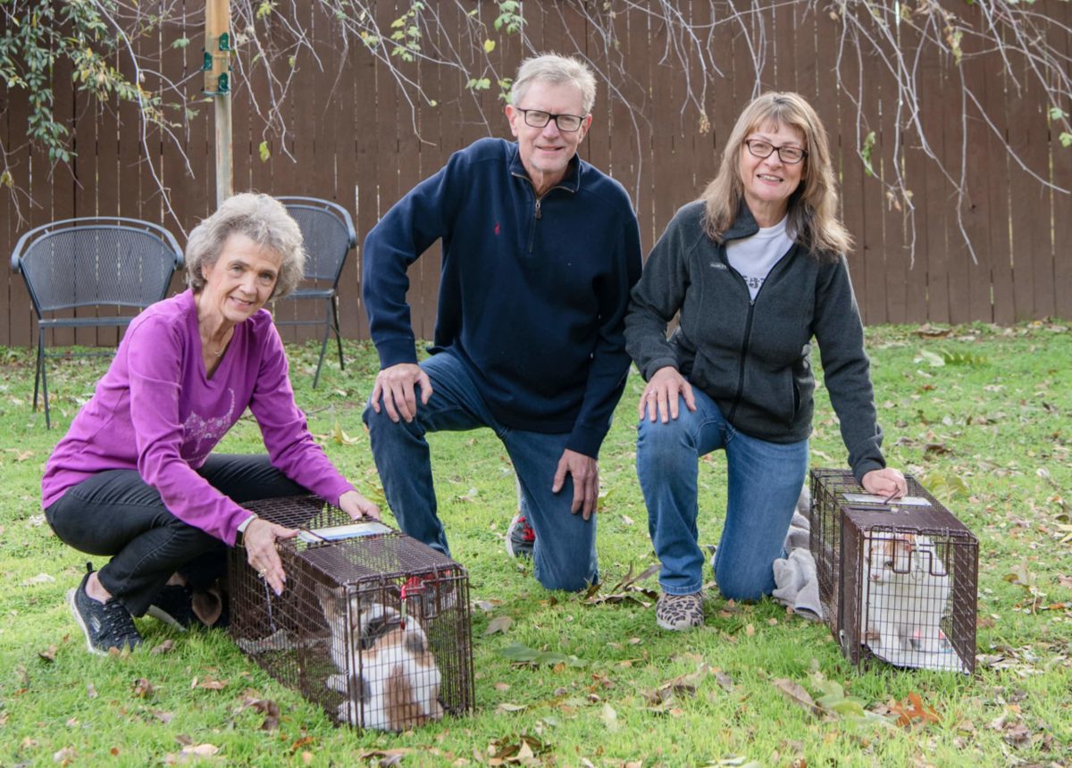 About – Mid-Cities Community Cats